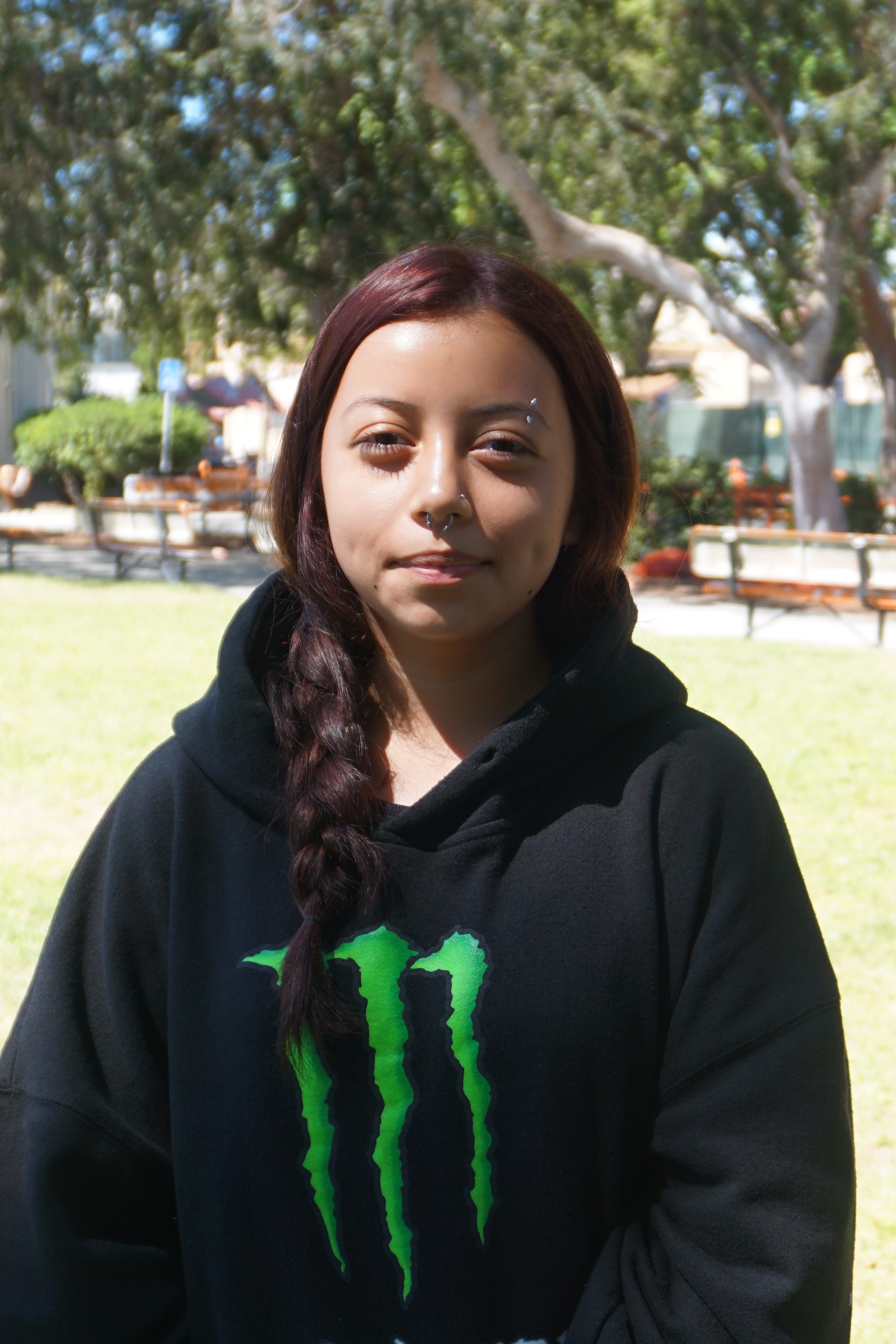 Jamie – Spartan Shield